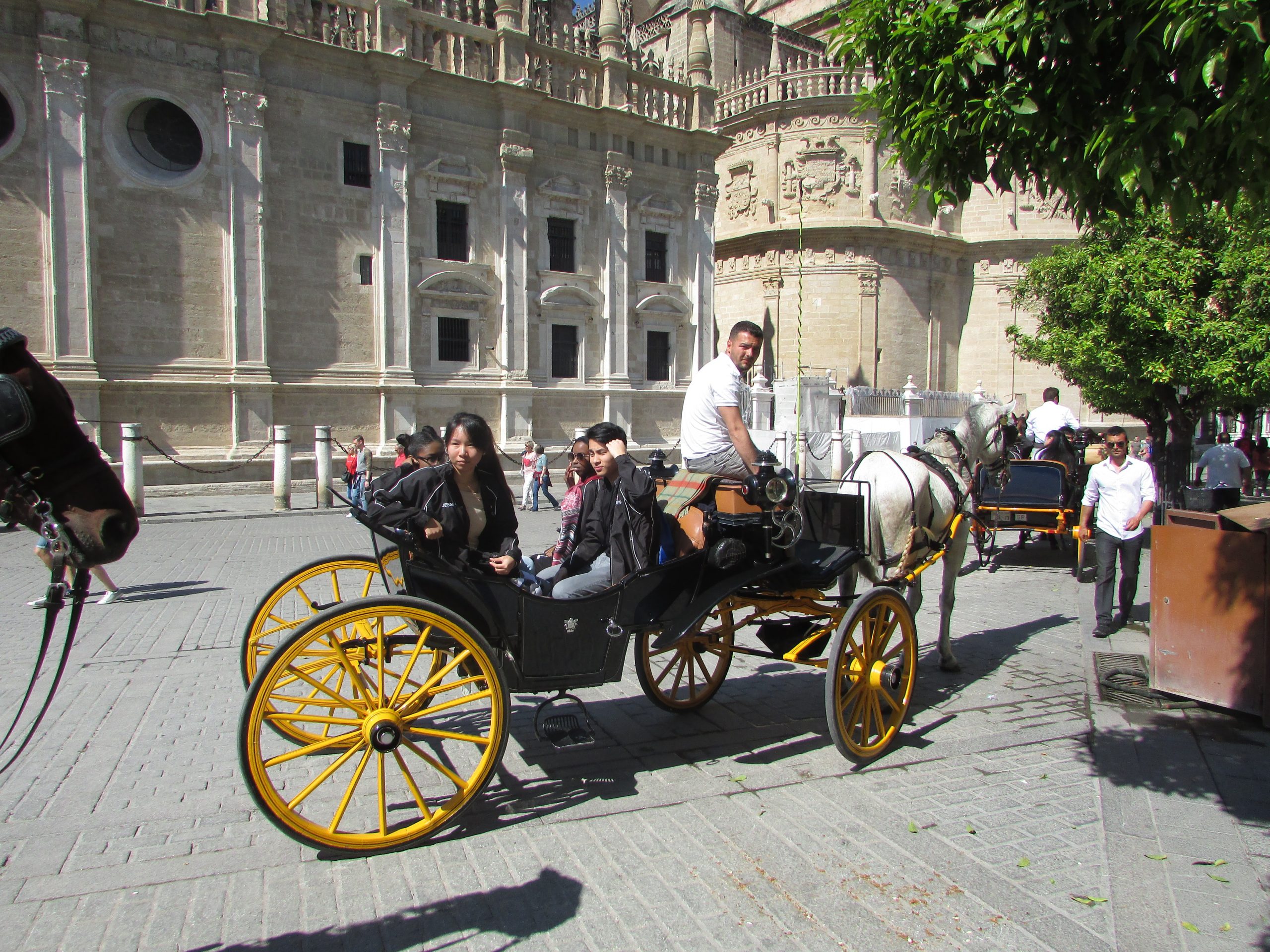 IMG_2139 | WorldStrides Canada